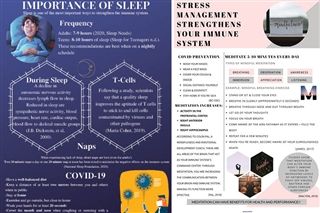 Students Create Posters to Educate on Immune System - Glenlyon Norfolk ...