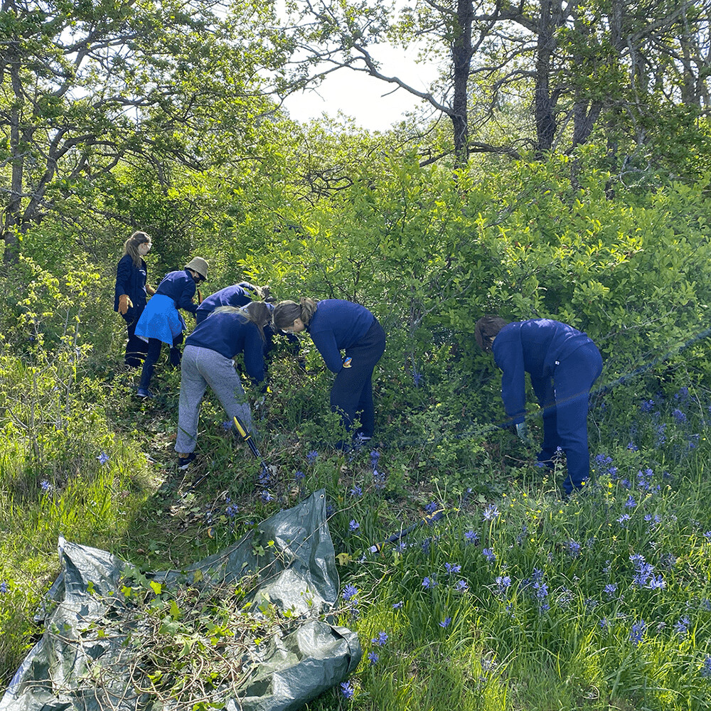 Shining a Spotlight on the Significance of Service Learning at GNS—Part 1 - Glenlyon Norfolk School